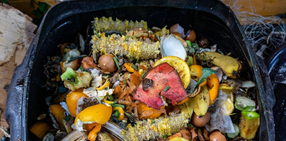 Keep Contamination from Creeping into Your Compost - May 2024