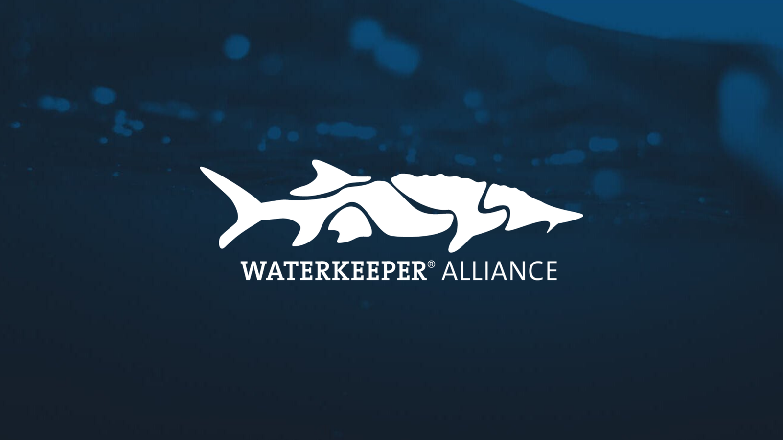 Lessing Stern – Waterkeeper - October 2024