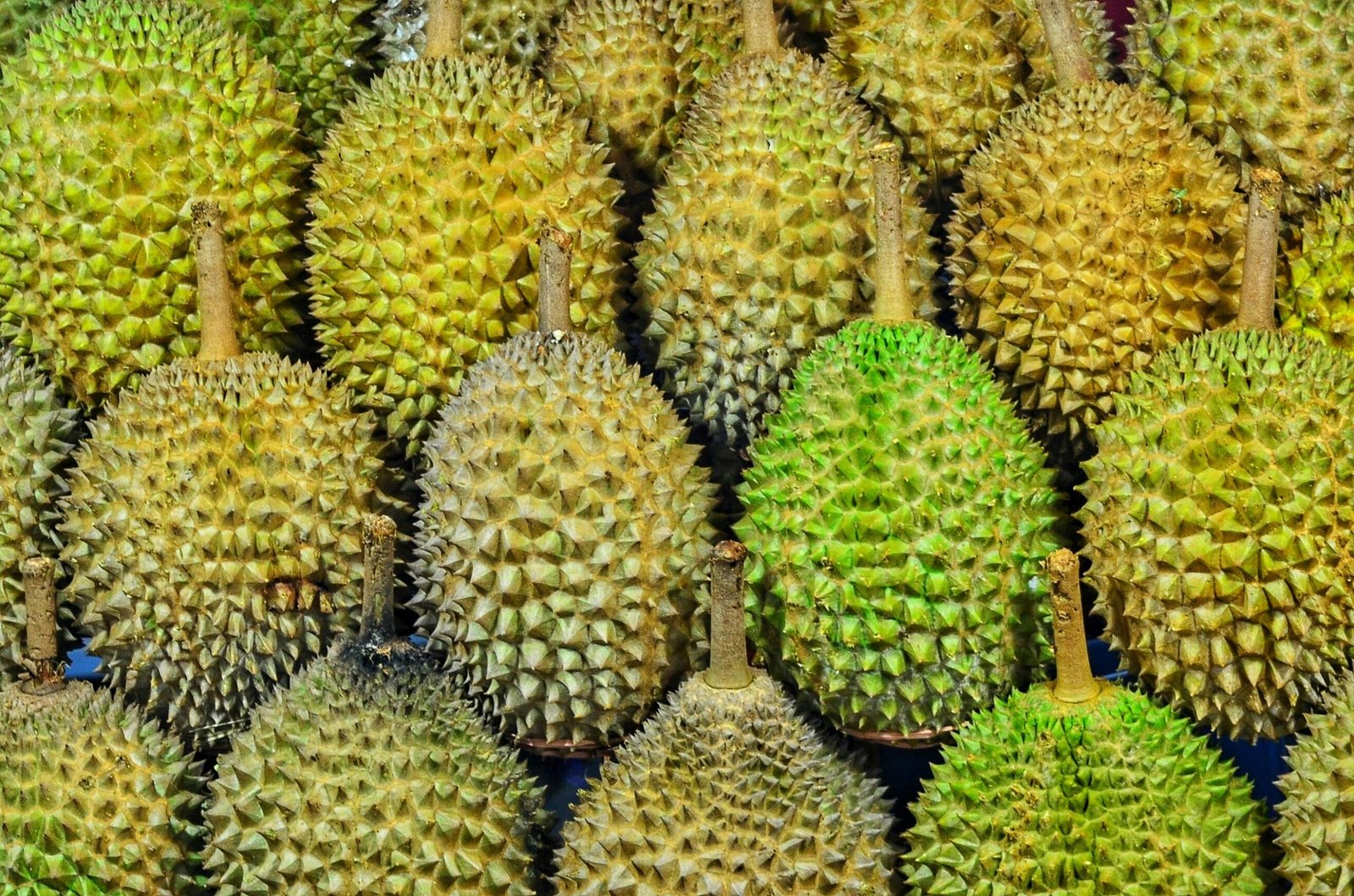 Why the stinky durian really is the ‘king of all fruits’ - June 2024