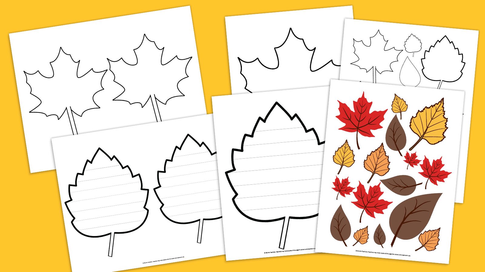 Free Printable Leaf Template Bundle for Fall - May 2024