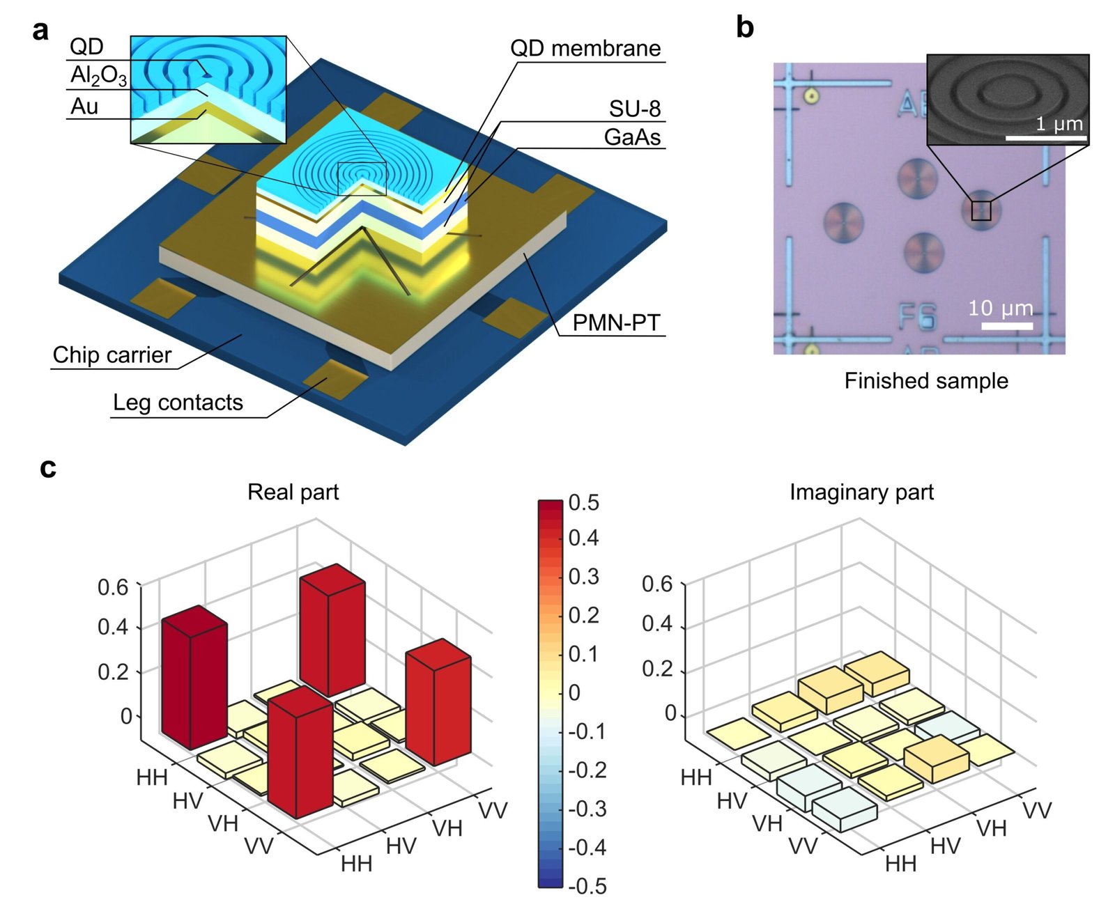 New light source emits bright, entangled photons for quantum ...