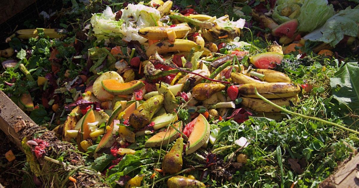 Reducing Food Waste With Federal Funds - May 2024