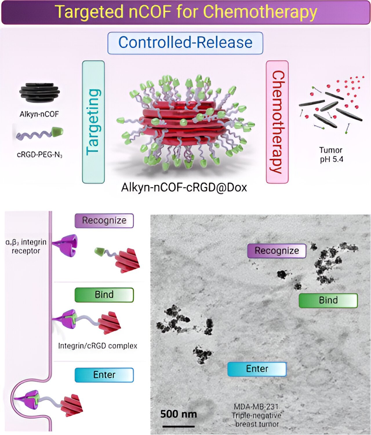 Researchers develop novel covalent organic frameworks for precise ... Researchers develop novel covalent organic frameworks for precise ...