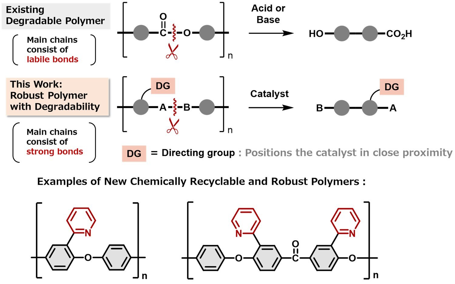 New polymer design breaks the tradeoff between toughness and ...