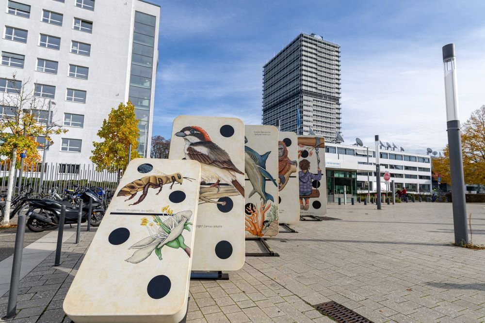 Why we should pull down the UN’s artificial divide between biodiversity ...