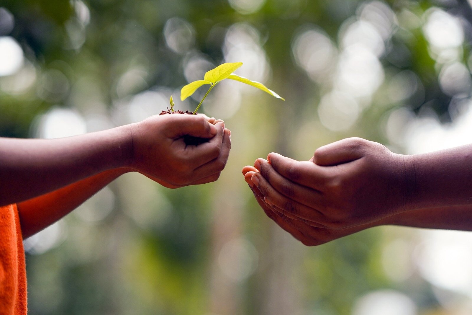 Gift-giving was practiced by early humans in Africa—how it spread and ...