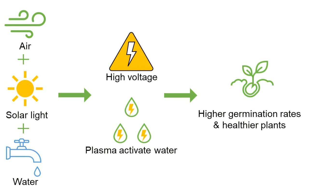 Solar-powered plasma technology offers a sustainable solution for seed ...