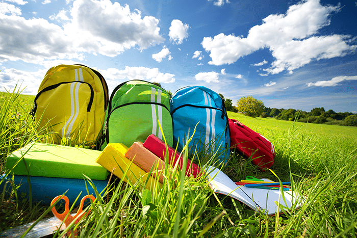Types of Outdoor Education You Can Plan For Your Classroom - January 2024