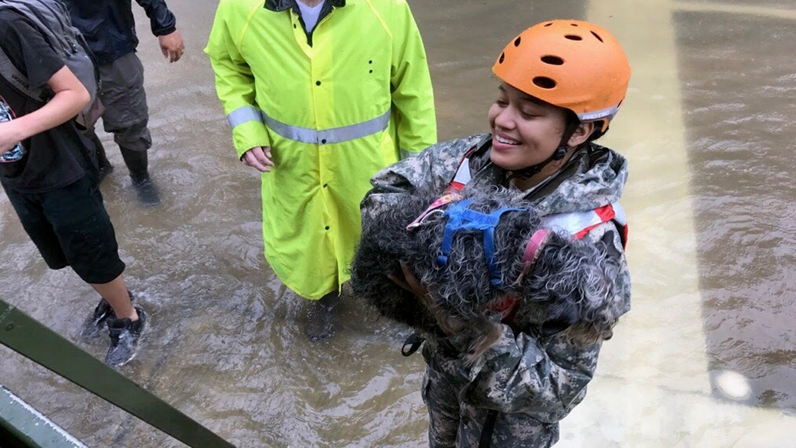 How weather disasters strain animal shelters » Yale Climate Connections ...