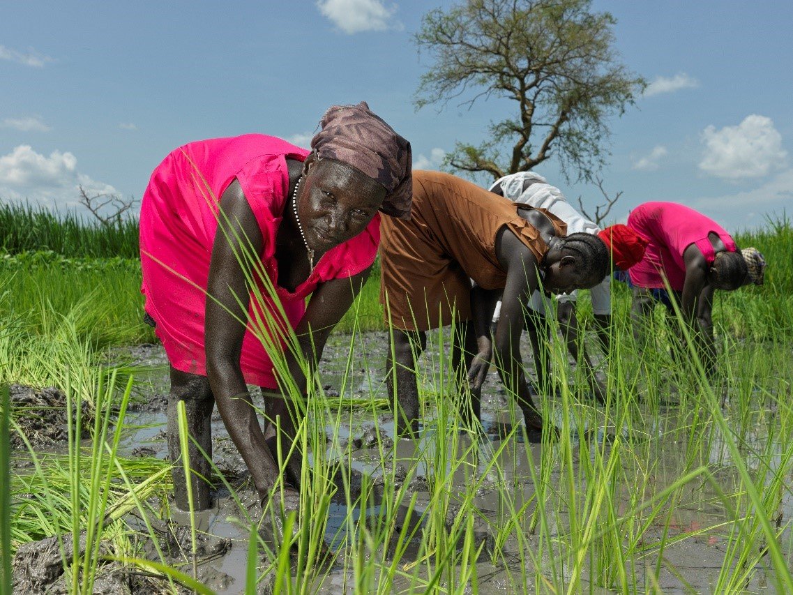 KellyDeli and Action Against Hunger UK raise €1m and extend their ...