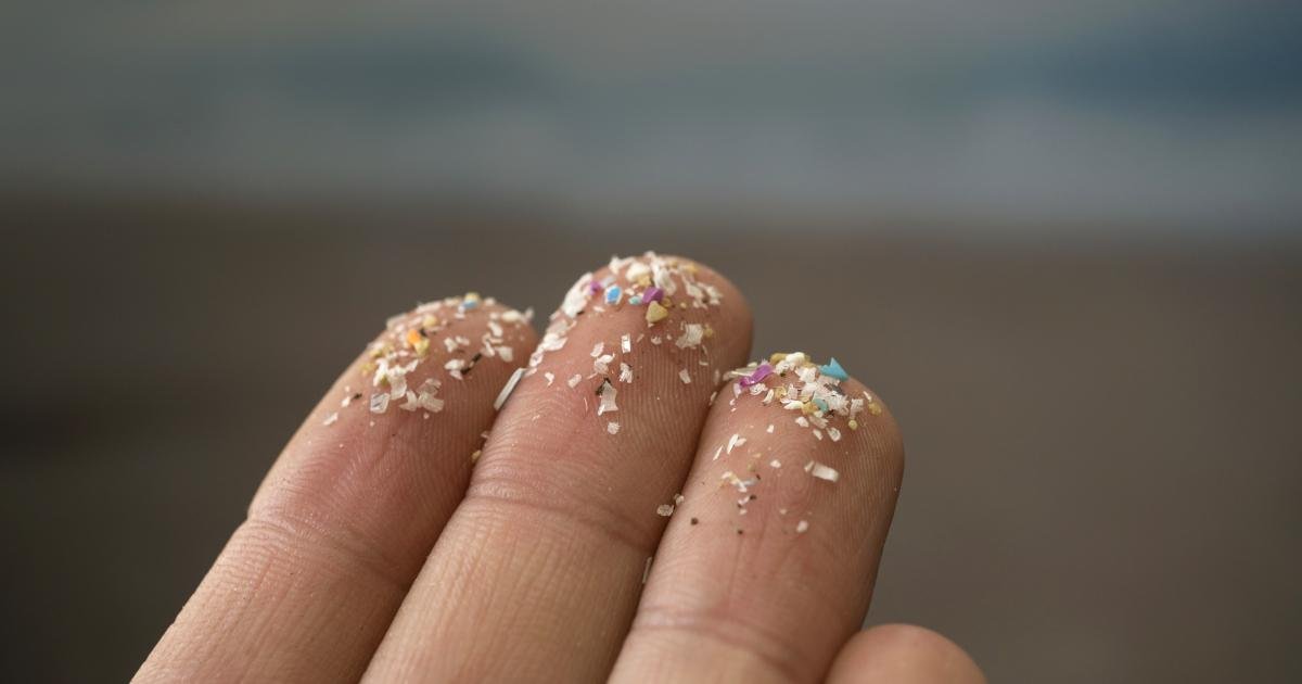 New review highlights human health risks from microplastic exposure ...
