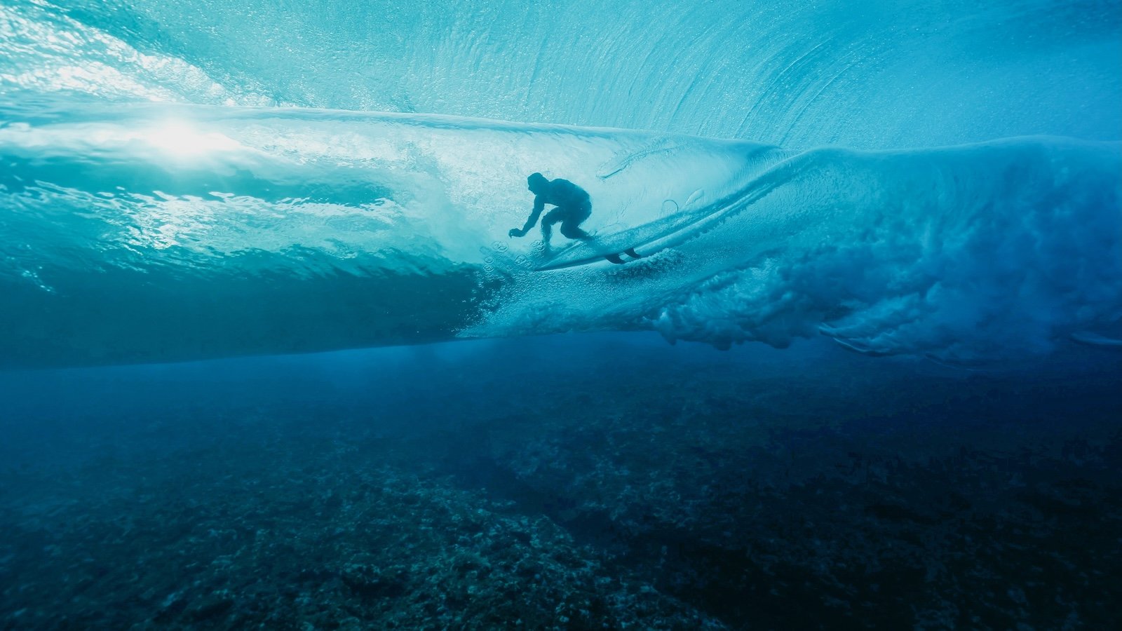 Saving the surf is a climate solution - May 2025