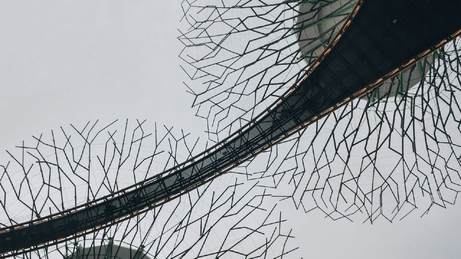 What is biomimicry? The tech lessons we can learn from plants and ...