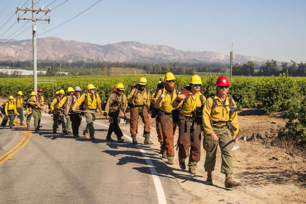 Forest Service firings decimate already understaffed agency - May 2025