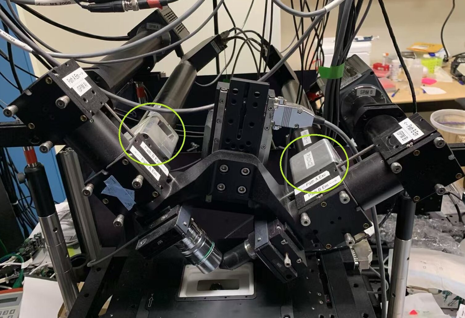 Innovative microscope reveals full 3D molecular orientation in cells ...