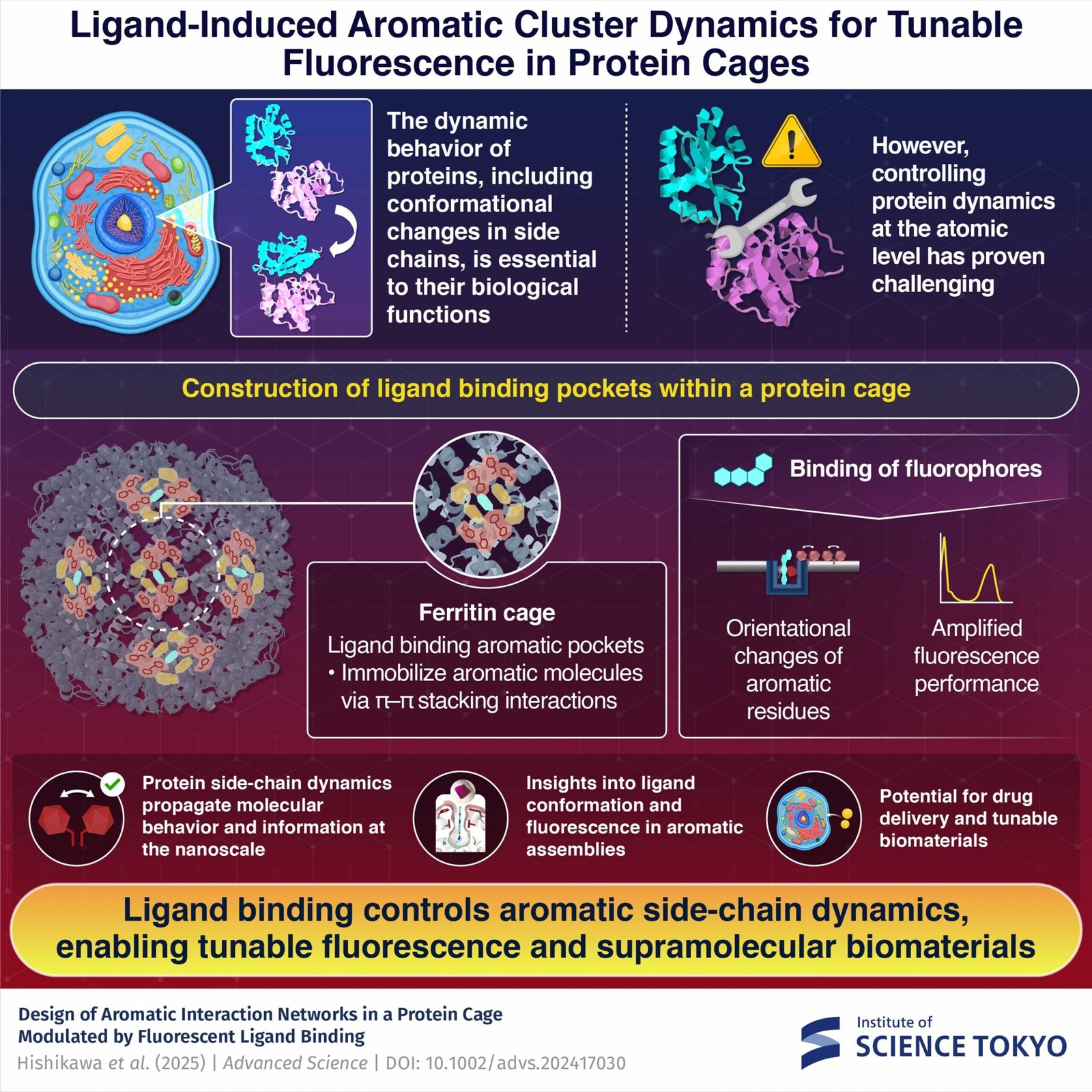 Protein cage system can control conformational changes in aromatic side ...