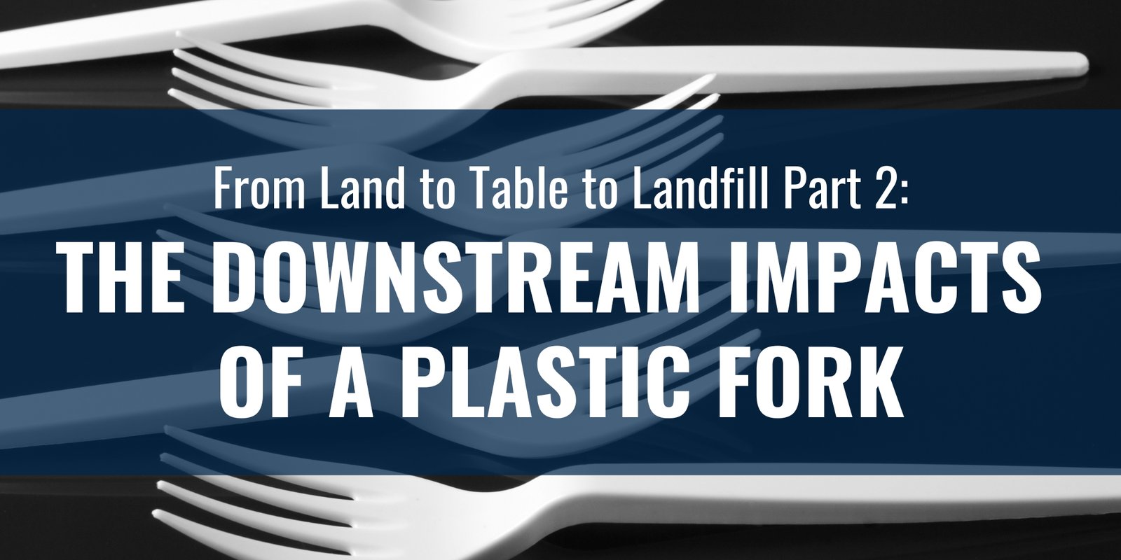 From Land to Table to Landfill Part 2: The Downstream Impacts of a ...