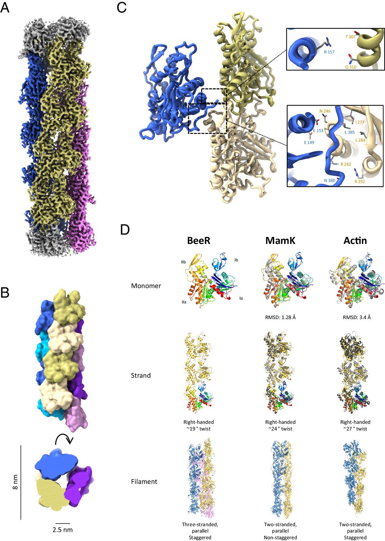 Newly identified bacterial protein helps design cancer drug delivery ...