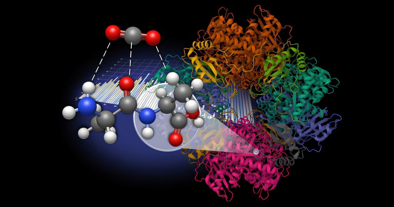 Research reveals promising CO₂ sequestration mechanisms - November 2025