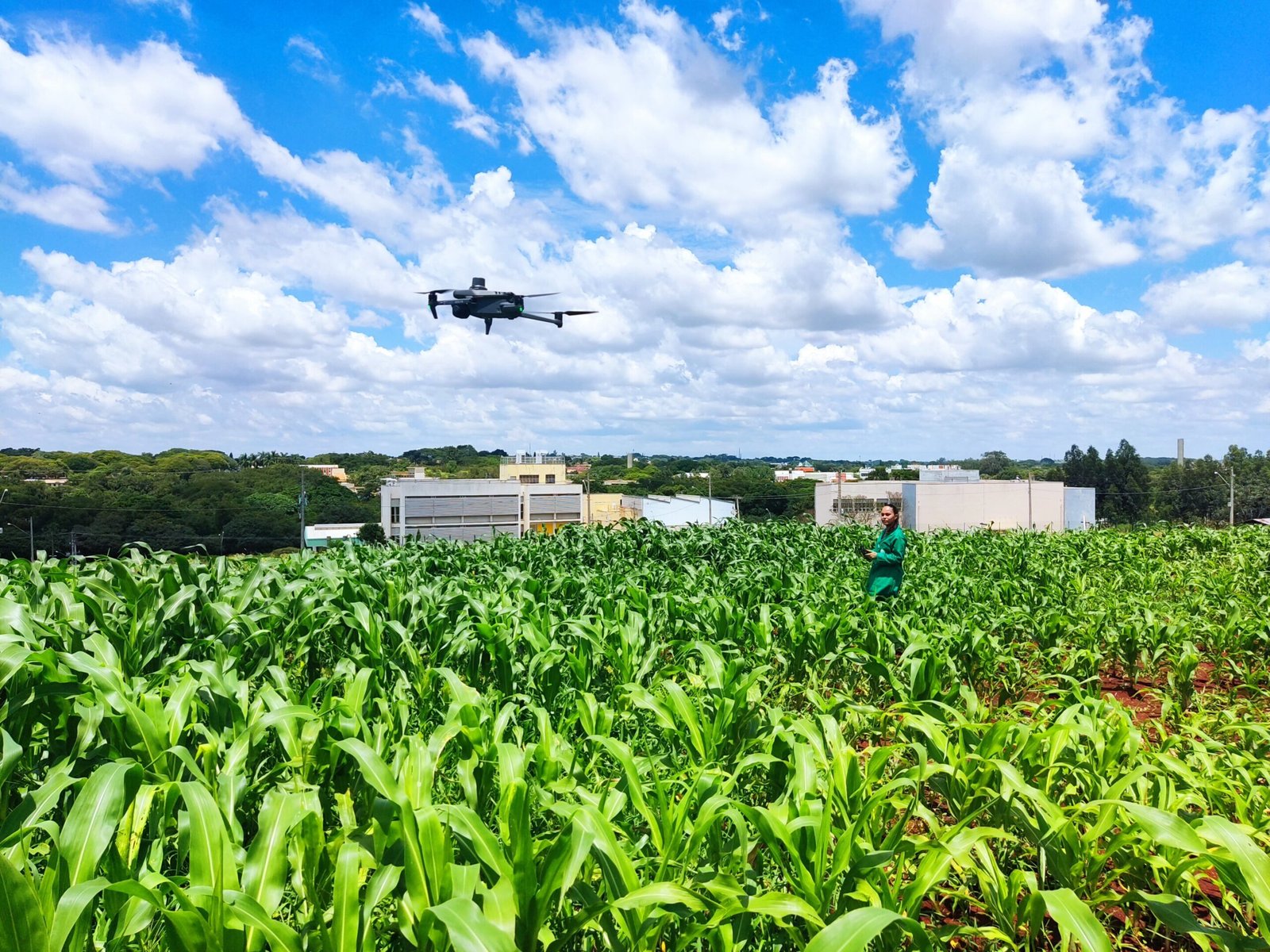 Drone and camera combo offers affordable drought-tolerance selection ...