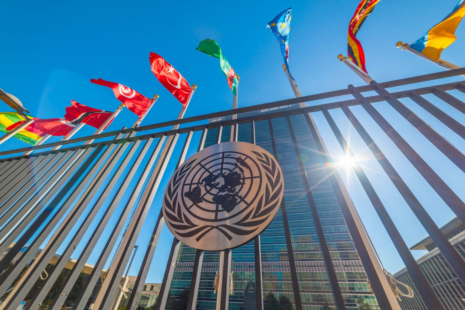 Reforming the United Nations for the Future of the Global Climate ...