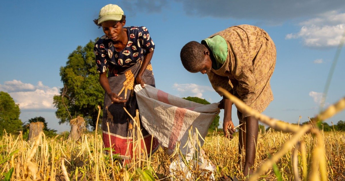 Impact Report, Spring 2025 | Action Against Hunger - September 2025