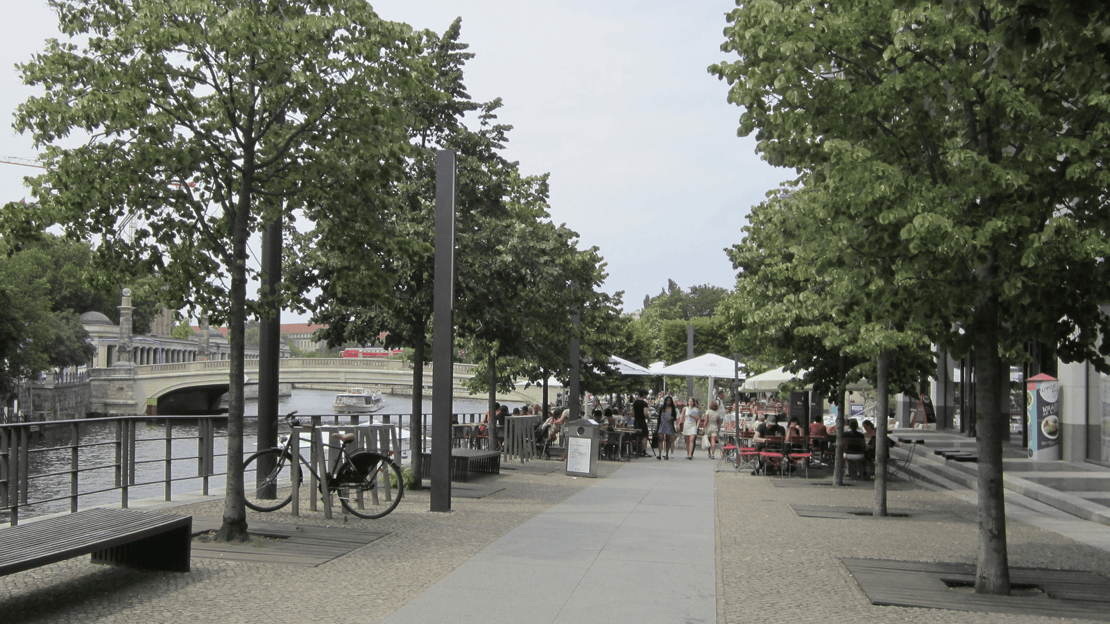 Trees can be flood-prevention heroes » Yale Climate Connections - May 2025