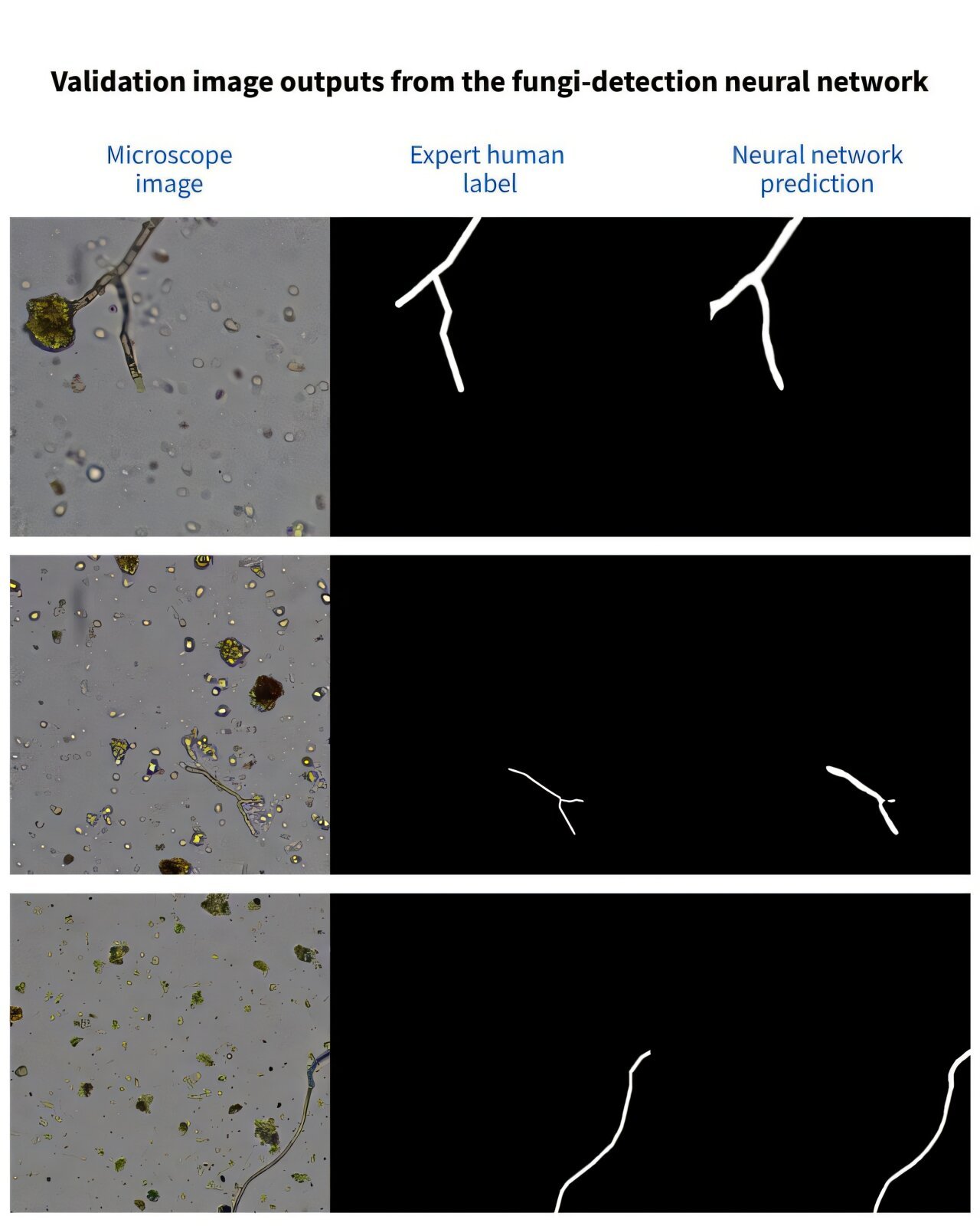 AI revives classic microscopy for on-farm soil health testing - May 2025