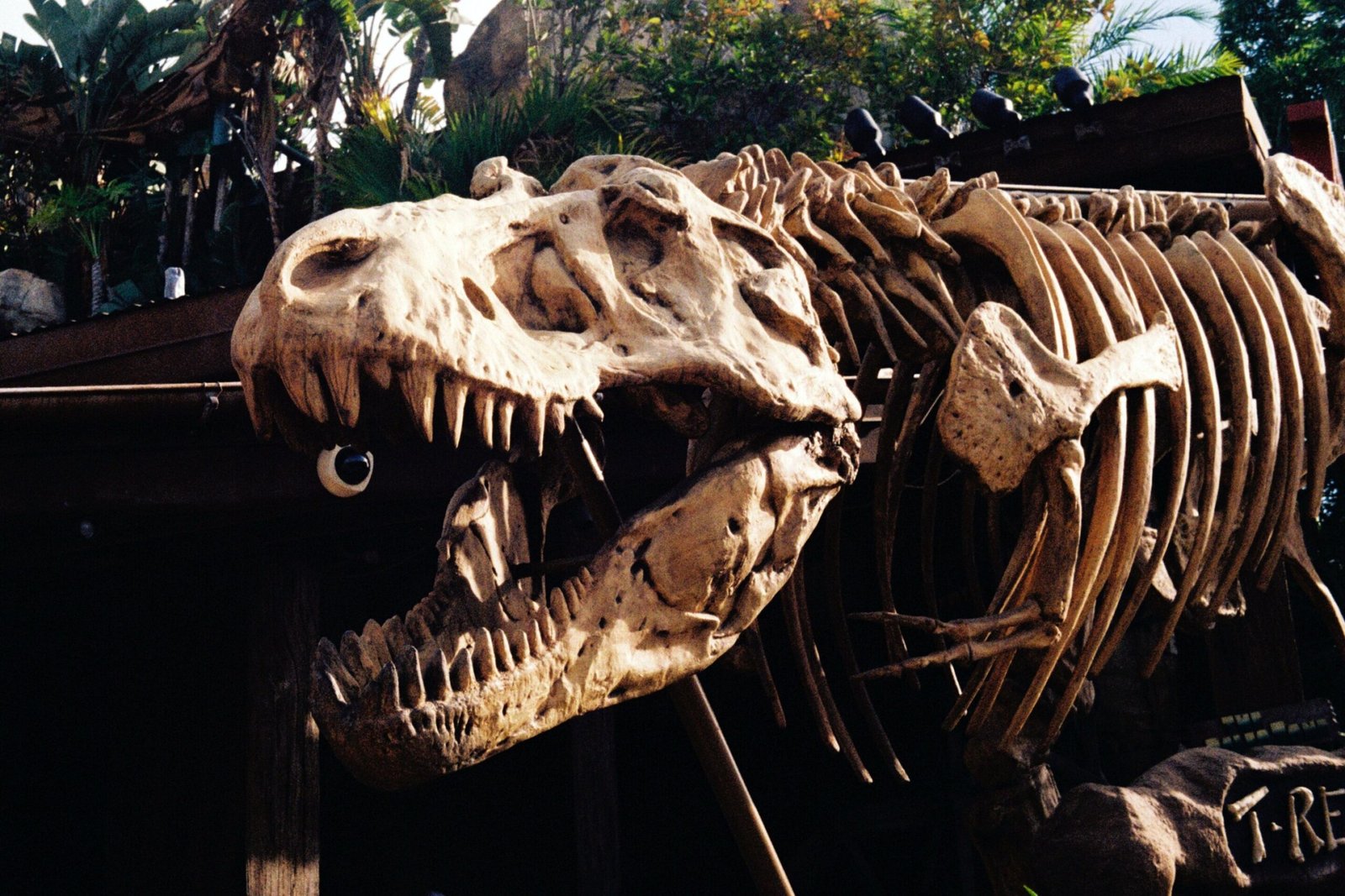 Want to hear dinosaurs ‘sing’? These instruments bring prehistory back ...