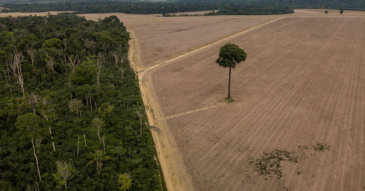 New report: Without nature, there is no path to a climate-safe future ...