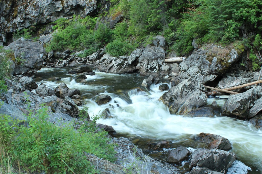 Women and Water - May 2026